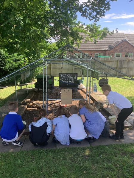 West Hill Primary - Outdoor Storytime & Hens @ West Hill